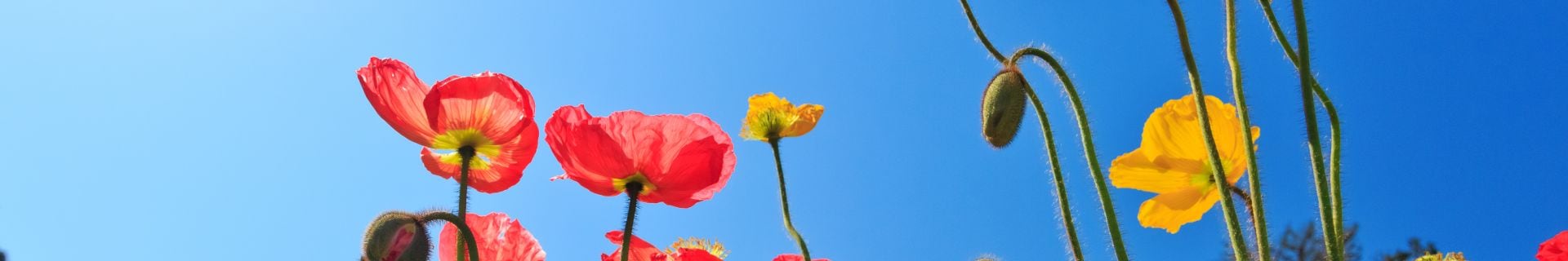 Camping in spring – but where? | ACSI Eurocampings Blog