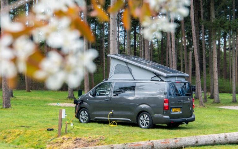 The rise of the electric car: an expert explains